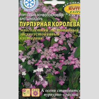 Купить семена Гортензия Пурпурная королева (почвопокровная) 0,005г АПФ ...