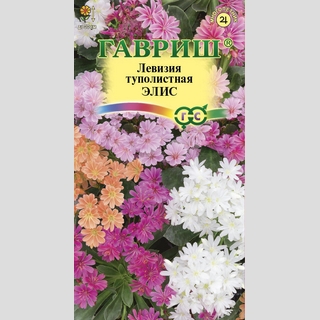 Семена Левизия/Льюизия котиледон (туполистная) Элис 5 шт. Н20 Гавриш ...