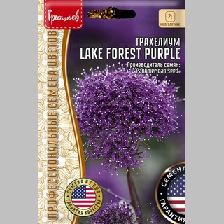 Купить семена Трахелиум Lake Forest Purple 3 мультидраже ип Григорьев в ...